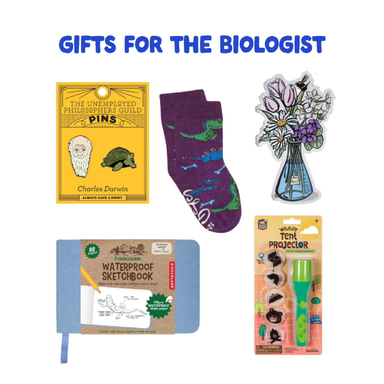 AMOS – Asheville Museum of Science