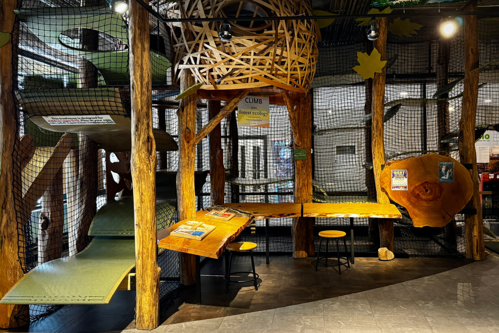 Climb Into Forest Ecology – AMOS